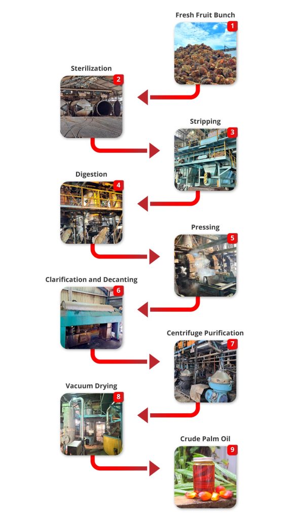 The Palm Oil Mill Process – Keck Seng Group