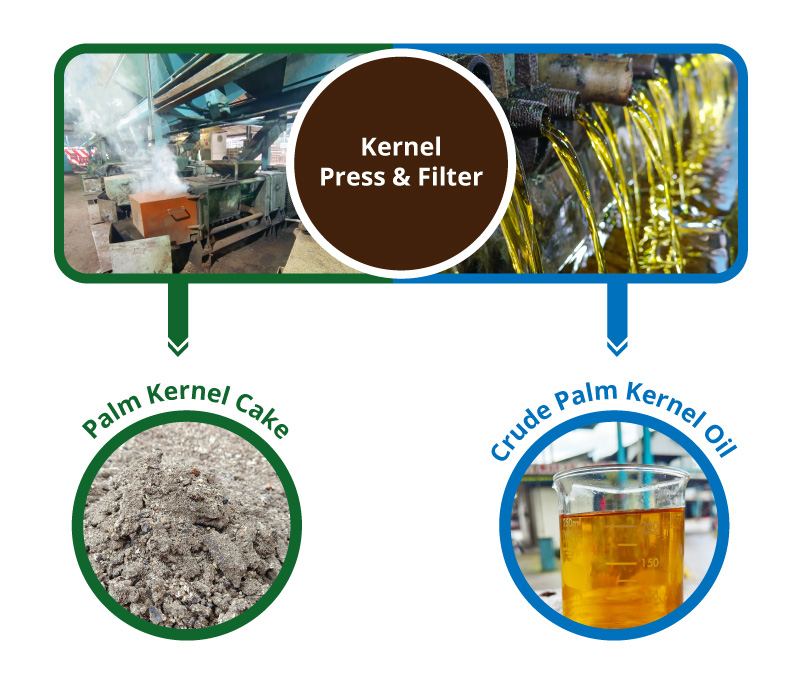 Kernel Crushing – Keck Seng Group