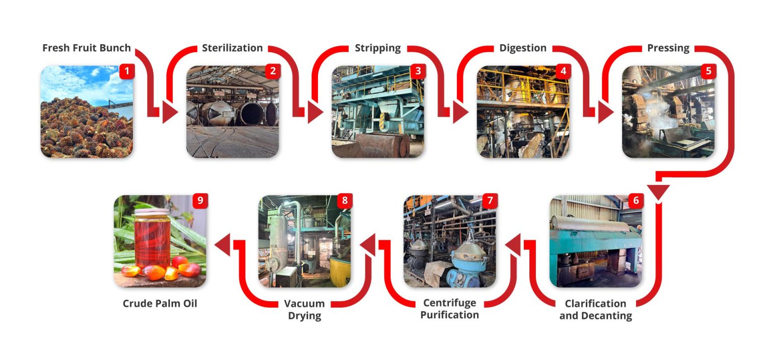 The Palm Oil Mill Process – Keck Seng Group